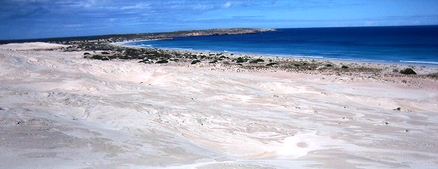 Cactus Point - Bester Surf deines Lebens - Happybackpacker